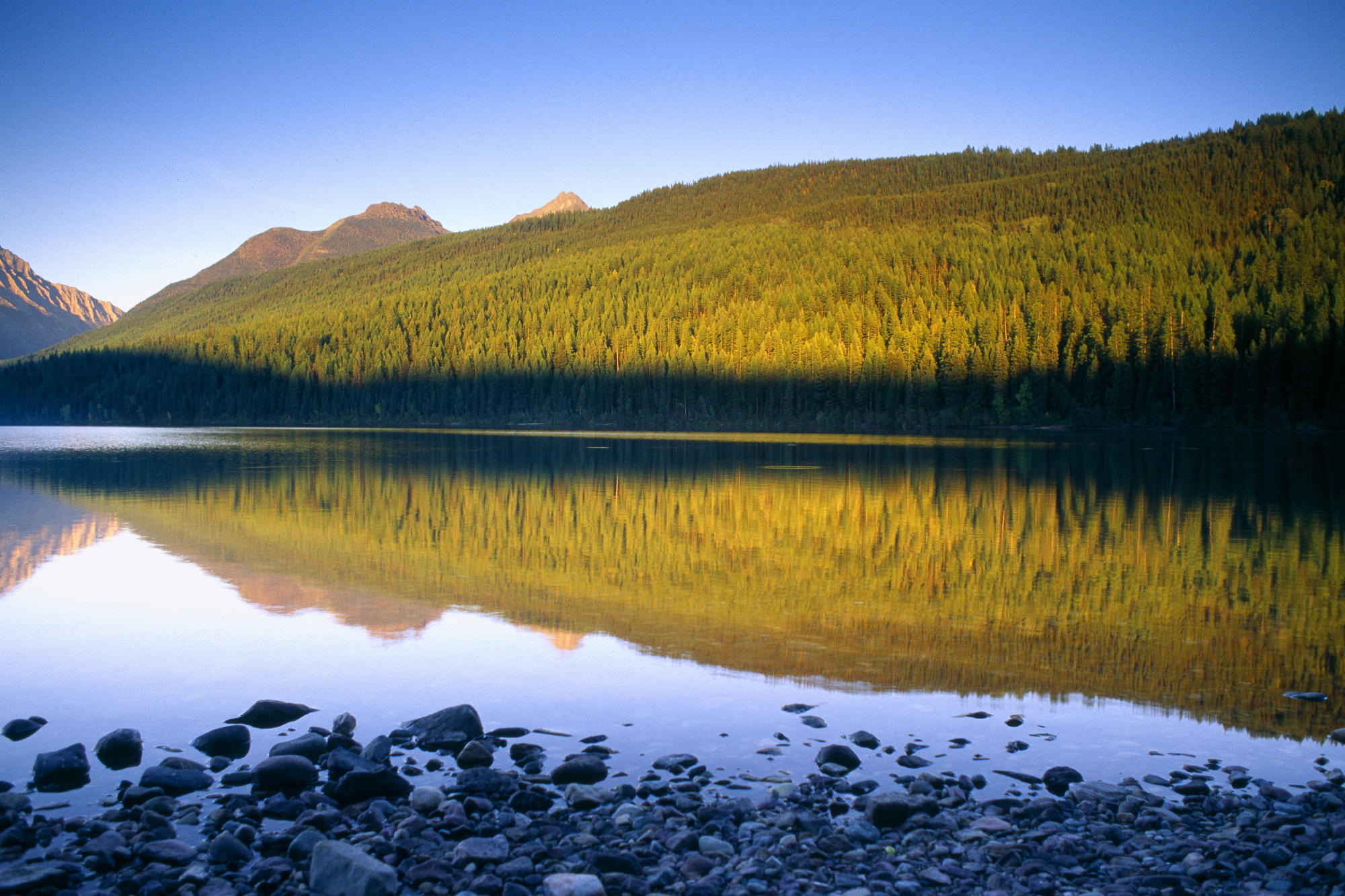 The Porn Star's Journey: Kira Green's Rise - VelocityCore